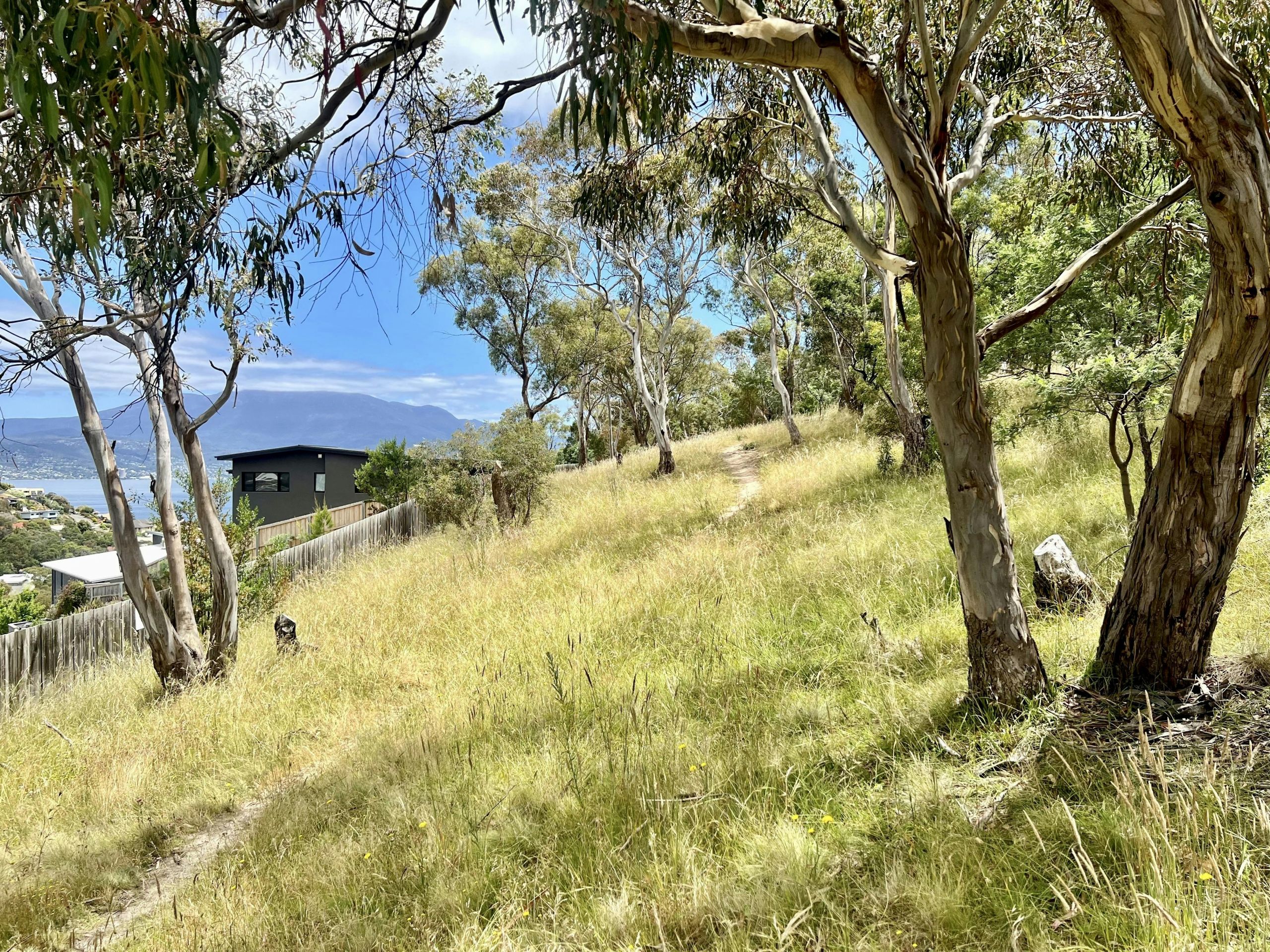 Clarence Bushfire Mitigation Strategy | Your Say Clarence