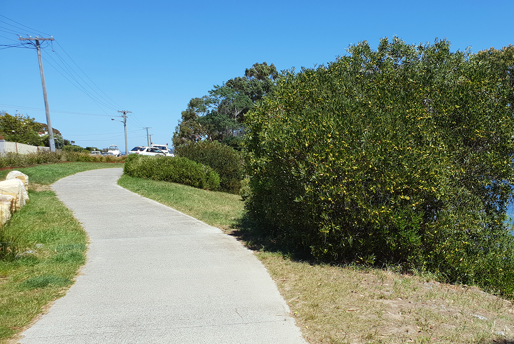 Victoria Esplanade and Kangaroo Bluff Landscape Plan Review | Your Say ...