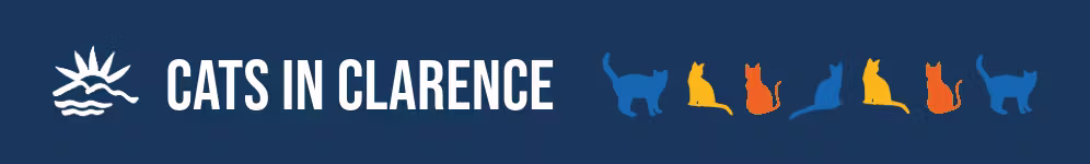 Cats in Clarence | Your Say Clarence